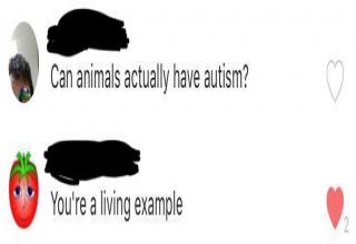 Savage Comebacks That Are Gonna Require Some Burn Cream (25 Images ...