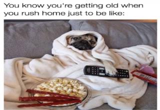 Fresh Batch of Memes Ready for Consumption (25 Images) - Funny Gallery ...