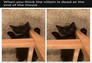 Fresh Batch of Memes Ready for Consumption (25 Images) - Funny Gallery ...