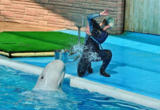 37 Photos Captured With Perfect Timing - Wow Gallery | eBaum's World