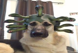 30 Funny Pics and Memes Packed To The Brim With Cool - Wow Gallery ...