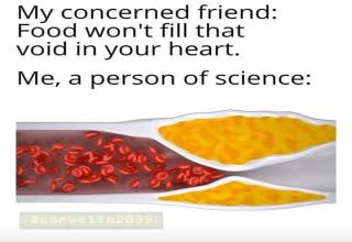 37 Cool Pics and Memes to Entertain Your Brain While You Contain ...