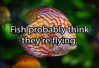 41 Interesting Thoughts to Get You Thinking - Funny Gallery | eBaum's World