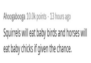 24 Facts That Are the Opposite of Fun - Wtf Gallery | eBaum's World