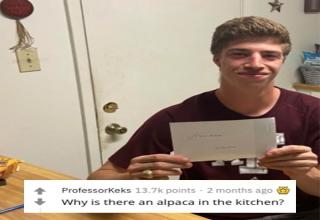 26 Hilarious Roasts That Left People Burnt to a Crisp - Funny Gallery ...