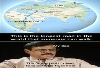 29 Funny And Random Memes To Decompress Your Day - Funny Gallery ...