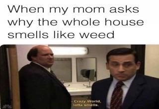 29 Memes For When You Get High - Funny Gallery | eBaum's World