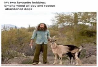 29 Memes For When You Get High - Funny Gallery | eBaum's World