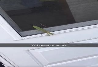 32 People Who Failed English Class - Funny Gallery | eBaum's World