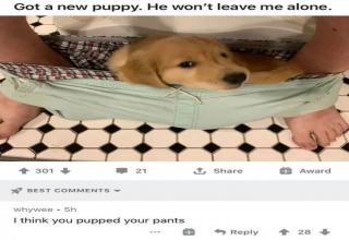 25 Cringey Jokes That Hit the Mark - Funny Gallery | eBaum's World