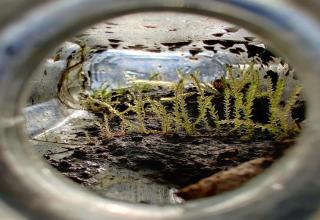 25 Amazing Things Seen Up Close - Wow Gallery | eBaum's World