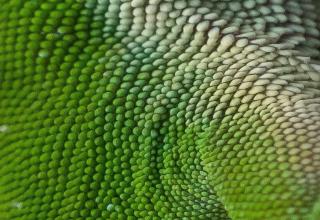 25 Amazing Things Seen Up Close - Wow Gallery | eBaum's World