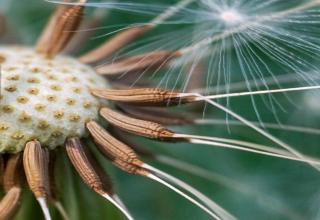 25 Amazing Things Seen Up Close - Wow Gallery | eBaum's World