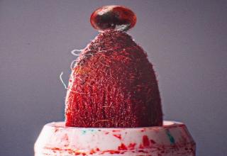 25 Amazing Things Seen Up Close - Wow Gallery | eBaum's World