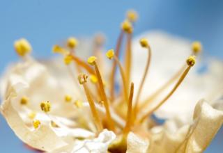 25 Amazing Things Seen Up Close - Wow Gallery | eBaum's World