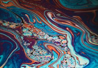 25 Amazing Things Seen Up Close - Wow Gallery | eBaum's World