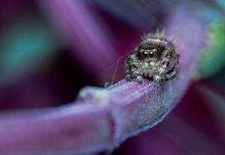 25 Amazing Things Seen Up Close - Wow Gallery | eBaum's World