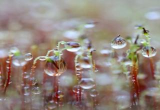 25 Amazing Things Seen Up Close - Wow Gallery | eBaum's World