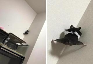 37 Funny Simple Memes & Pics Get You Through the Day - Funny Gallery ...