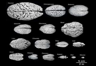 27 Intelligent Infographics Full of Interesting Information - Wow ...