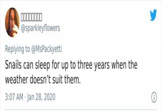 46 Weird Facts about Totally Normal Things - Funny Gallery | eBaum's World