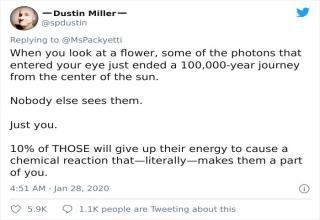 46 Weird Facts about Totally Normal Things - Funny Gallery | eBaum's World