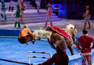 34 Photos Captured With Picture-Perfect Timing - Wow Gallery | eBaum's ...