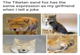 30 Funny Pics and Memes to Enjoy Today | eBaum's World