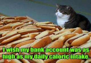 43 Memes About Being Broke - Funny Gallery | eBaum's World