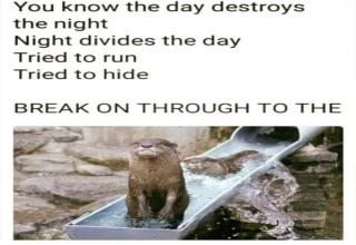 39 Funny Pics and Memes to Take a Break With - Funny Gallery | eBaum's ...