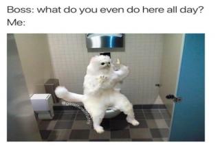 32 Work Memes For When You've Had Enough - Funny Gallery | eBaum's World
