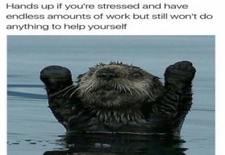 32 Work Memes For When You've Had Enough - Funny Gallery | eBaum's World