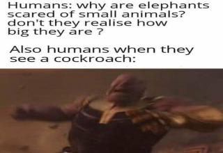 30 Funny Memes That Are Right in Their Own Way - Funny Gallery | eBaum ...