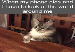 30 Funny Memes That Are Right in Their Own Way - Funny Gallery | eBaum ...