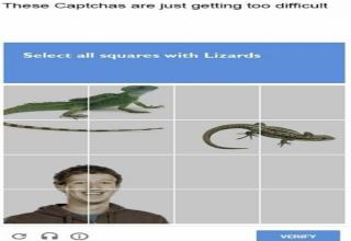 39 Funny Pics and Memes For Easy Scrolling | eBaum's World