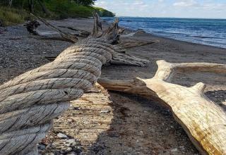 31 Interesting Things Found in Nature - Wow Gallery | eBaum's World