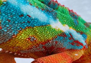 31 Interesting Things Found in Nature - Wow Gallery | eBaum's World