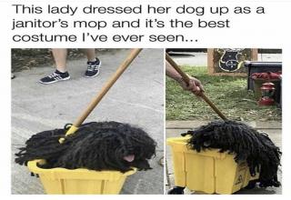 39 Darn Fine Pics and Funny Memes to Enjoy - Funny Gallery | eBaum's World