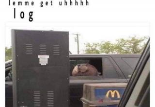 39 Darn Fine Pics and Funny Memes to Enjoy - Funny Gallery | eBaum's World