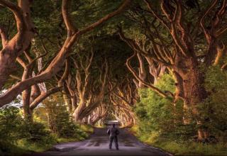 30 Interesting Things From All Around the World - Wow Gallery | eBaum's ...