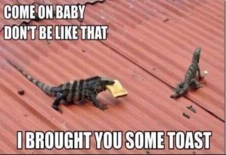 56 Funny Pics and Memes to Start the Week Off Right - Wow Gallery ...