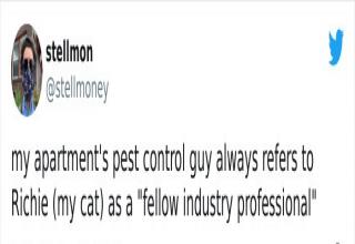 31 Things Only Sarcastic Comedians Will Enjoy - Funny Gallery | eBaum's ...