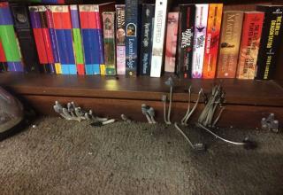 23 Slobs Living in Their Own Filth | eBaum's World