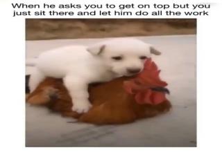 38 Slightly Inappropriate Pics and Memes - Funny Gallery | eBaum's World