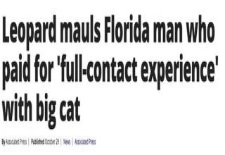 50 Insane Florida Man Headlines of 2020 - Wtf Gallery | eBaum's World