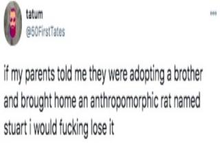 32 Funny Memes, Tweets, and Everything in Between - Funny Gallery ...