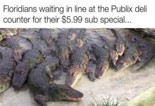 32 Sadly True Florida Memes No One Can Deny - Funny Gallery | eBaum's World
