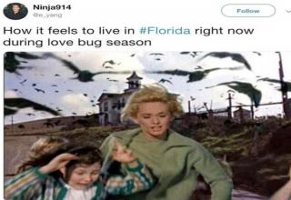 32 Sadly True Florida Memes No One Can Deny - Funny Gallery | eBaum's World