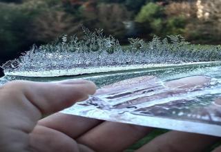 Fascinating Photos of Things Found in Nature (19 Images) - Ftw Gallery ...