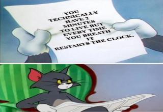 29 Premium Pics and Memes for a Good Time - Funny Gallery | eBaum's World